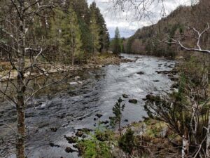 SALMON FISHING IN SCOTLAND - Scottish Salmon Fishing Rivers