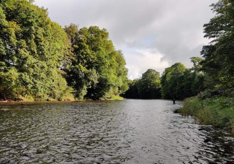 SALMON FISHING IN SCOTLAND - Scottish Salmon Fishing Rivers