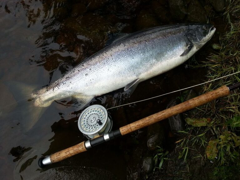 SALMON FISHING IN SCOTLAND - Scottish Salmon Fishing Rivers